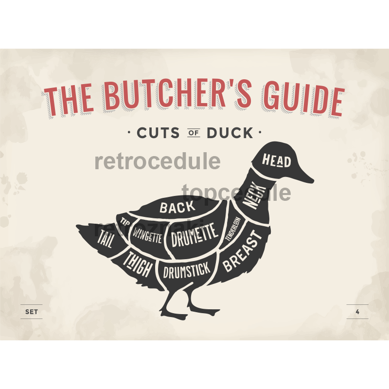 Znak The Butchers Guide - Cuts of Duck 40 x 30 cm - Retro pločevinasti ...